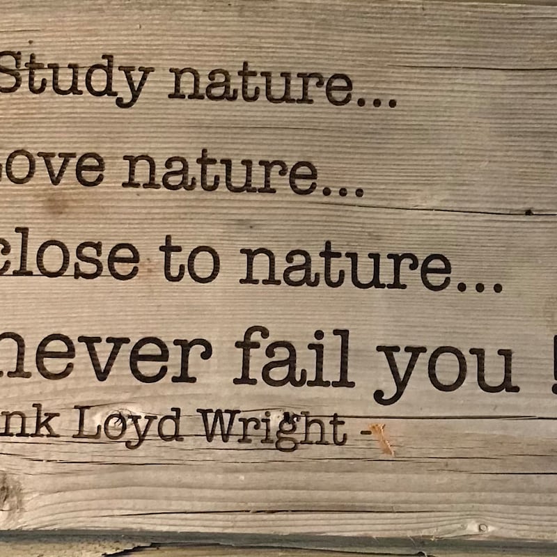 Nature Quote - Etsy