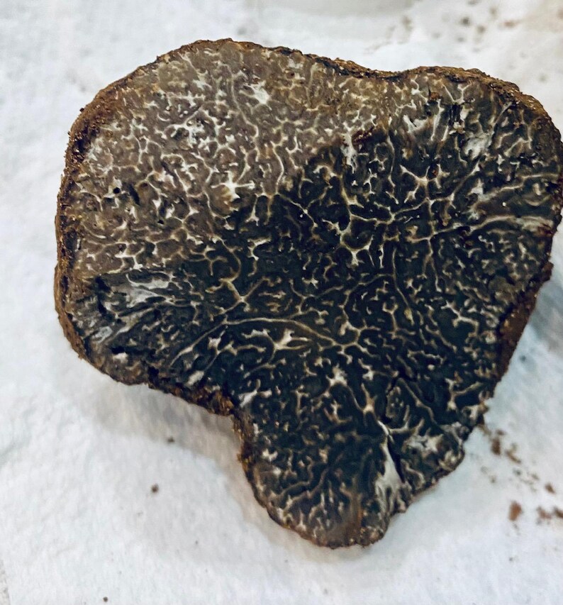 Fresh Black Winter Truffles - Etsy Australia