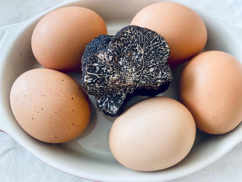 Fresh Black Winter Truffles - Etsy Australia