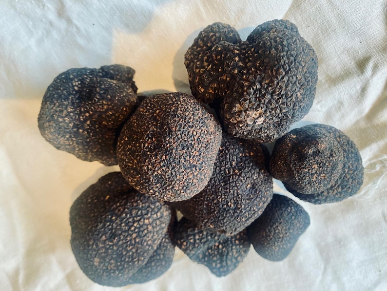 Fresh Black Winter Truffles - Etsy Australia
