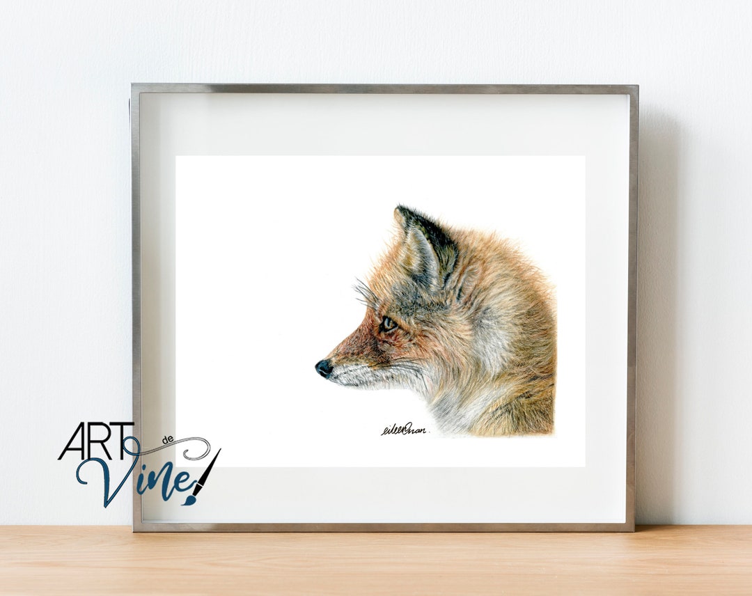 Wild Animals - the Great Fox - Illustrated Print - Etsy
