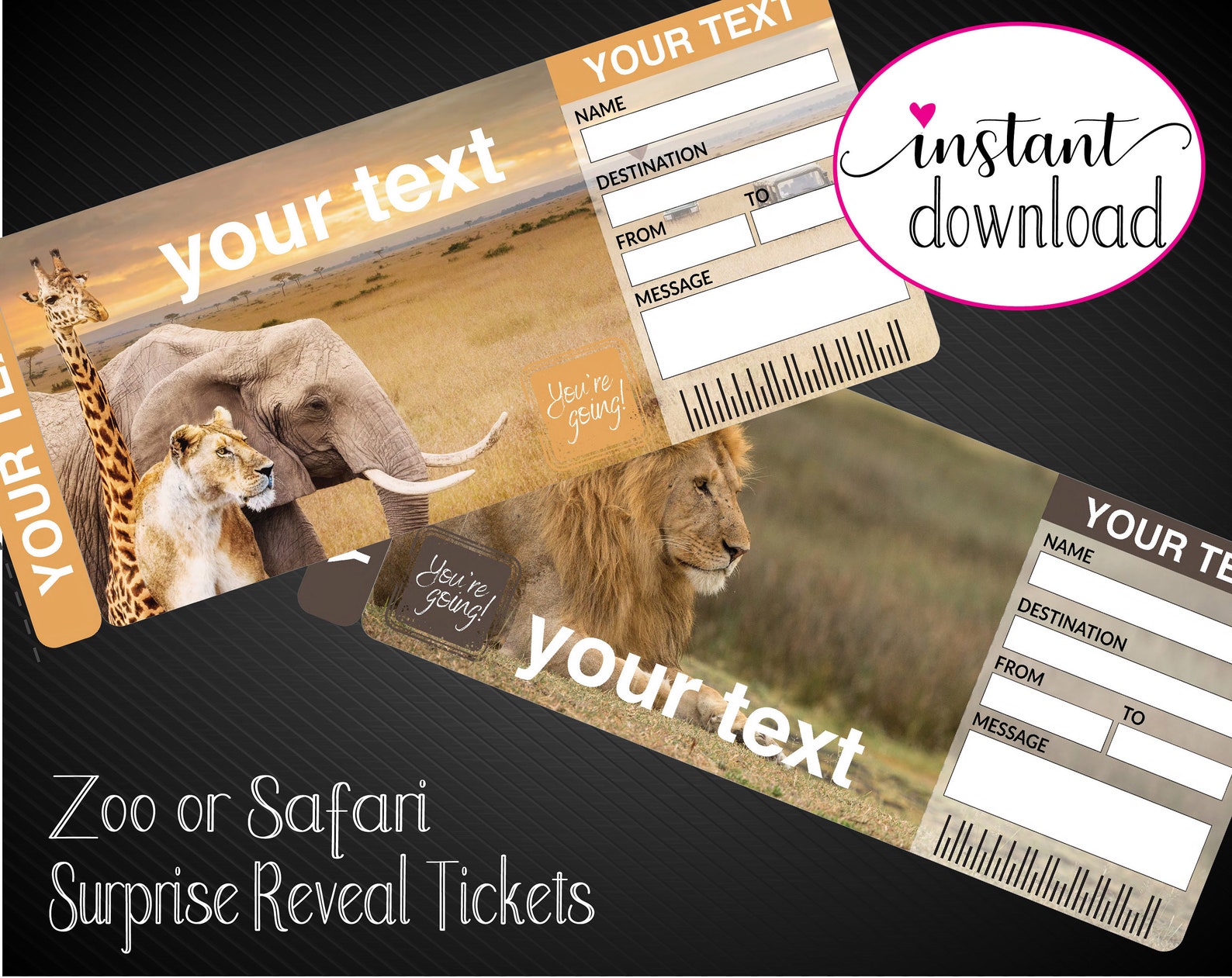 Printable ZOO or SAFARI PARK Surprise Gift Reveal Ticket. Admission ...