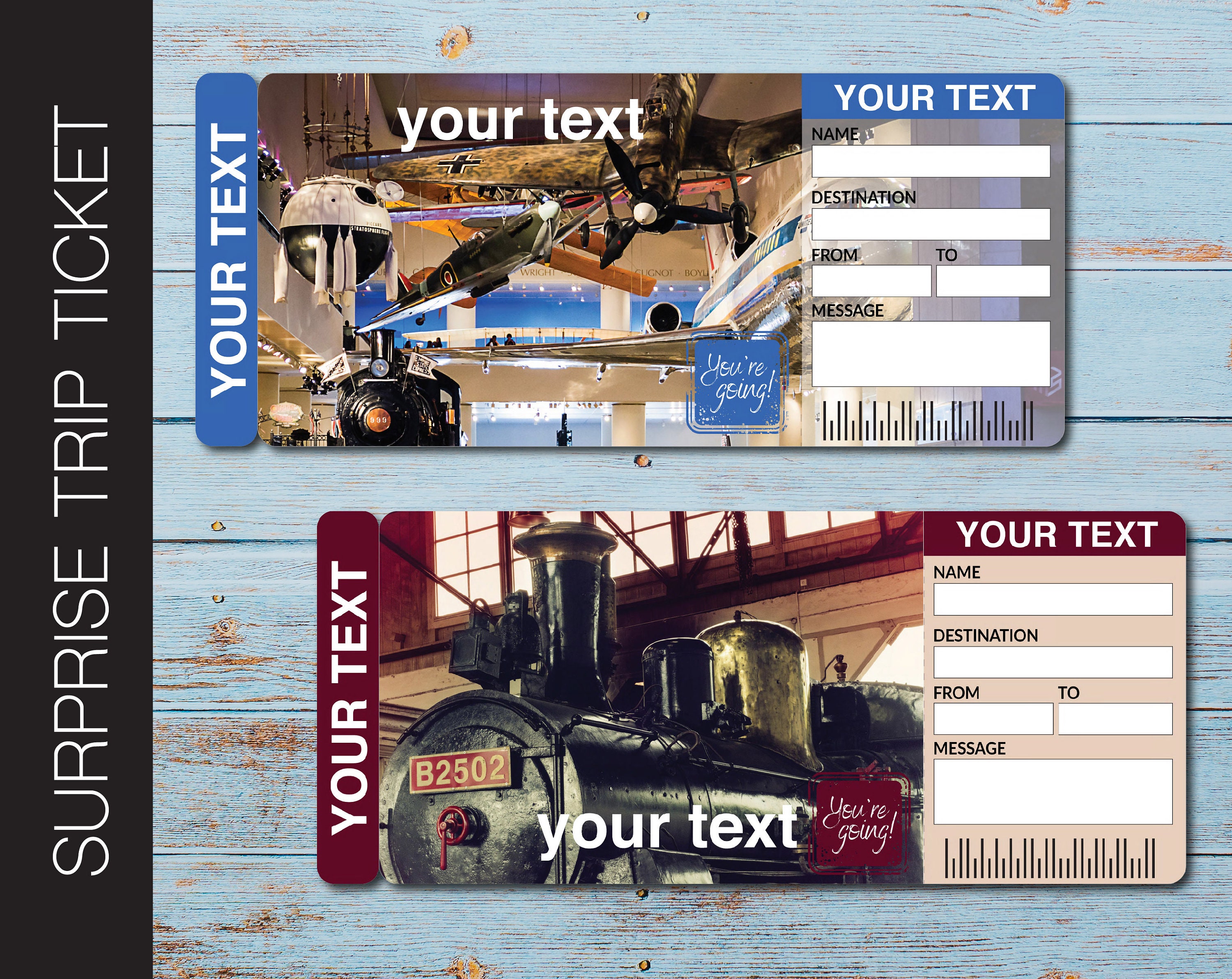 Printable MUSEUM Surprise Gift Reveal Ticket. Admission Pass. - Etsy