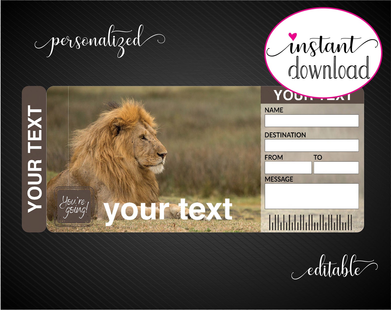 Printable ZOO or SAFARI PARK Surprise Gift Reveal Ticket. Admission ...