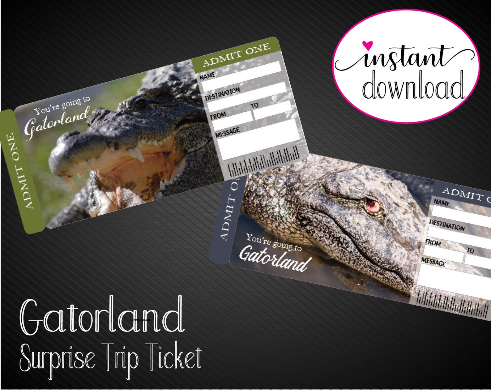 Printable GATORLAND Surprise Trip Tickets. Vacation Ticket. - Etsy