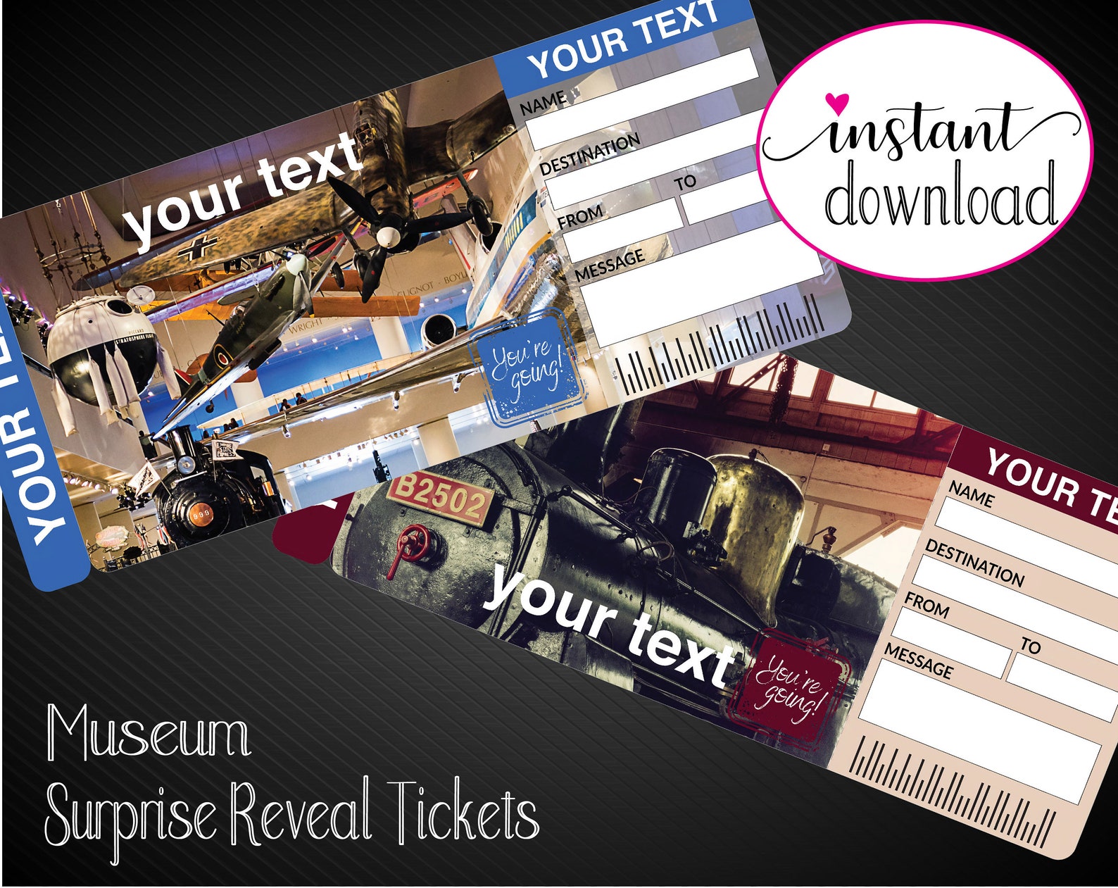 Printable MUSEUM Surprise Gift Reveal Ticket. Admission Pass. Printable ...