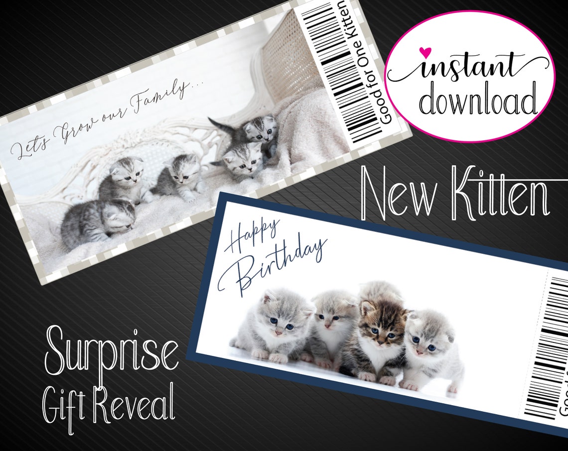 Printable NEW KITTEN / CAT Surprise Gift Reveal Coupon. Instant ...