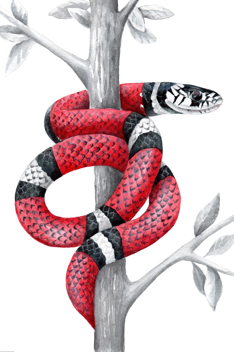 Red snake print Snake painting Reptile print Snake art Cute | Etsy