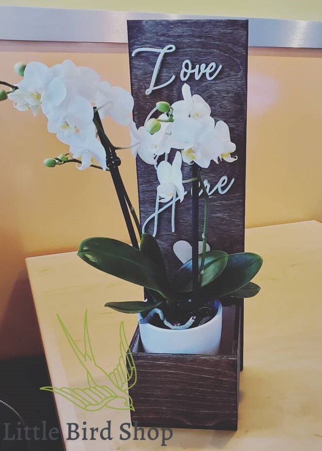 Vertical Planter Box Wooden Sign Planter Hanging Outdoor I - Etsy