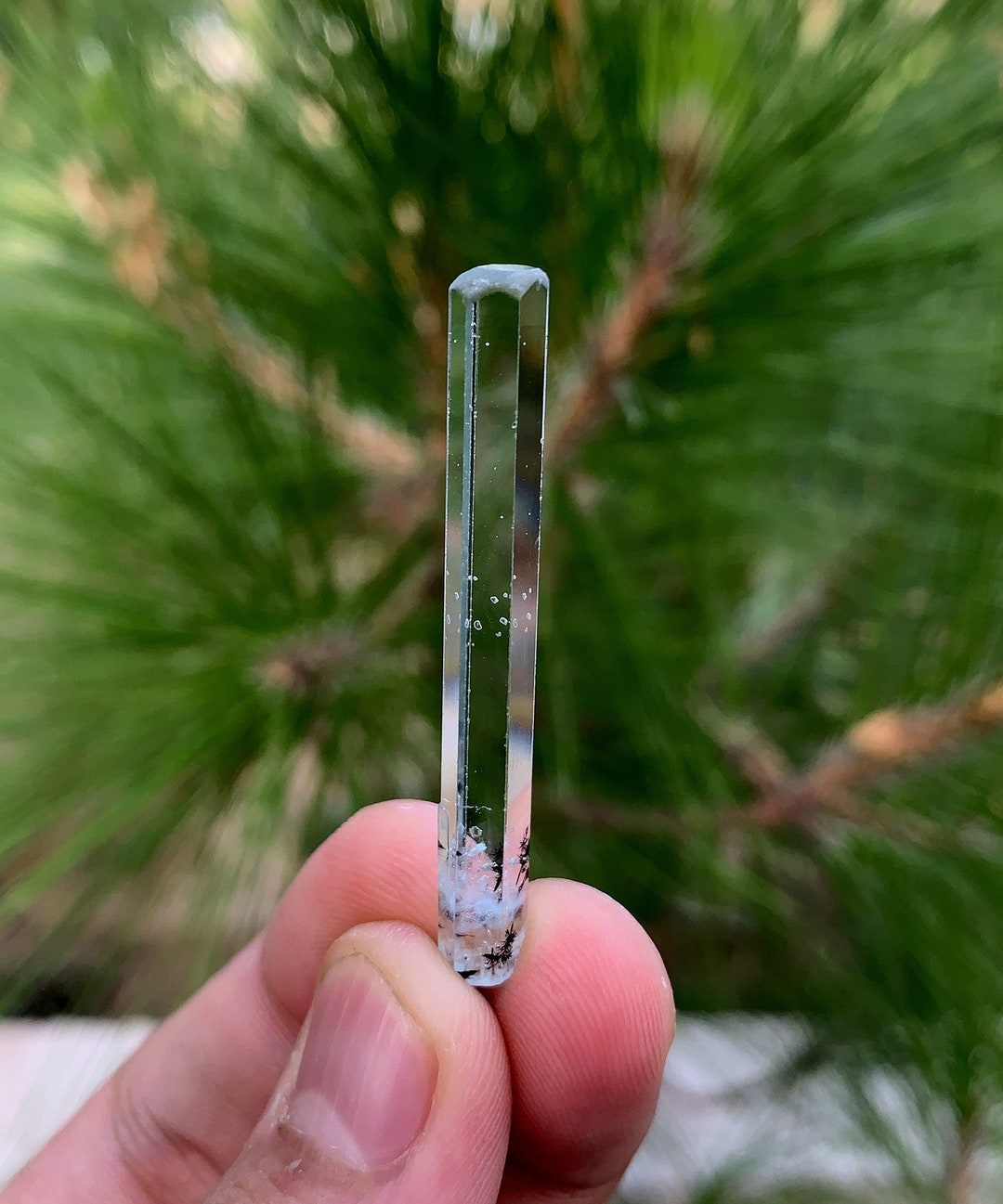 Terminated Transparent Aquamarine Crystal With Rare Columbite Bunch ...