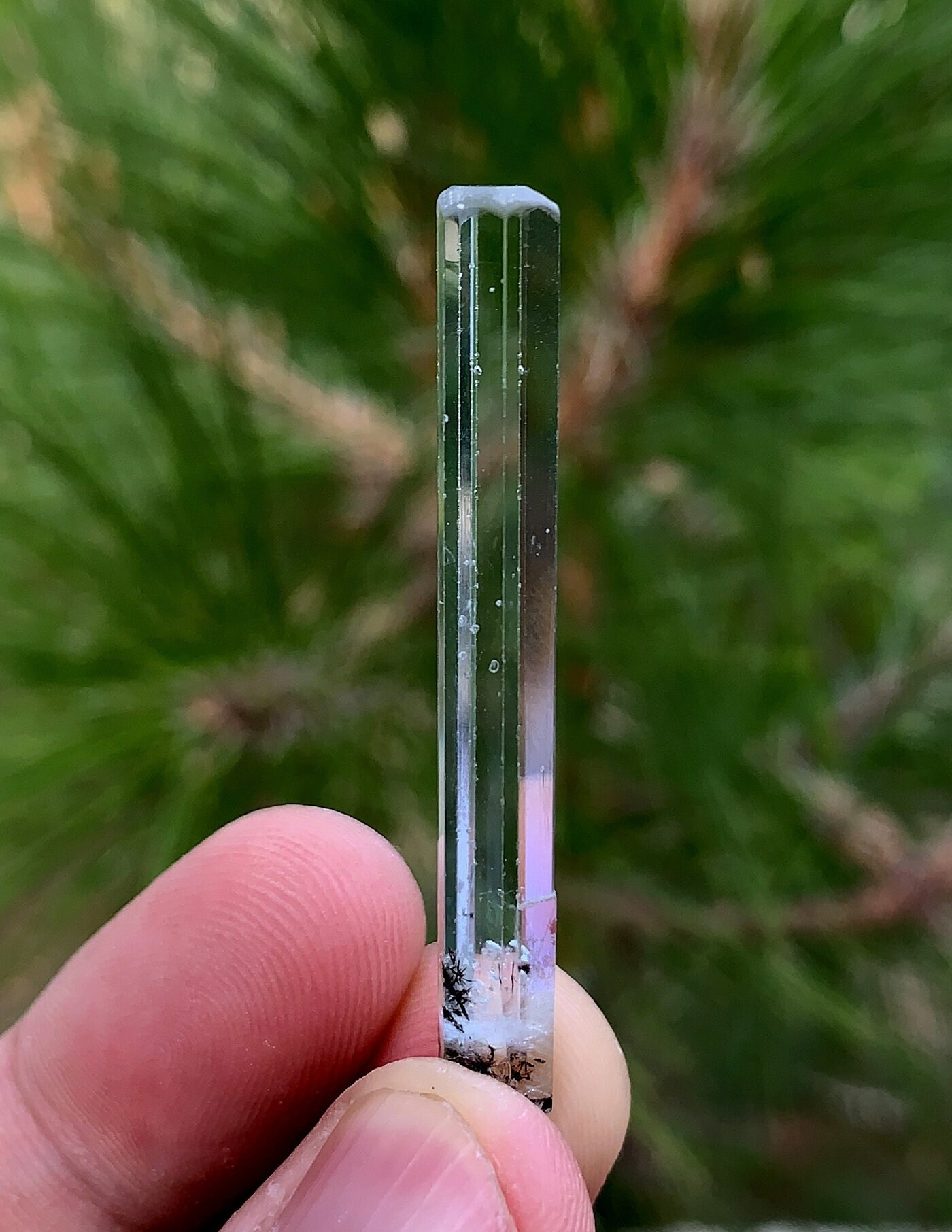 Terminated Transparent Aquamarine Crystal With Rare Columbite Bunch ...