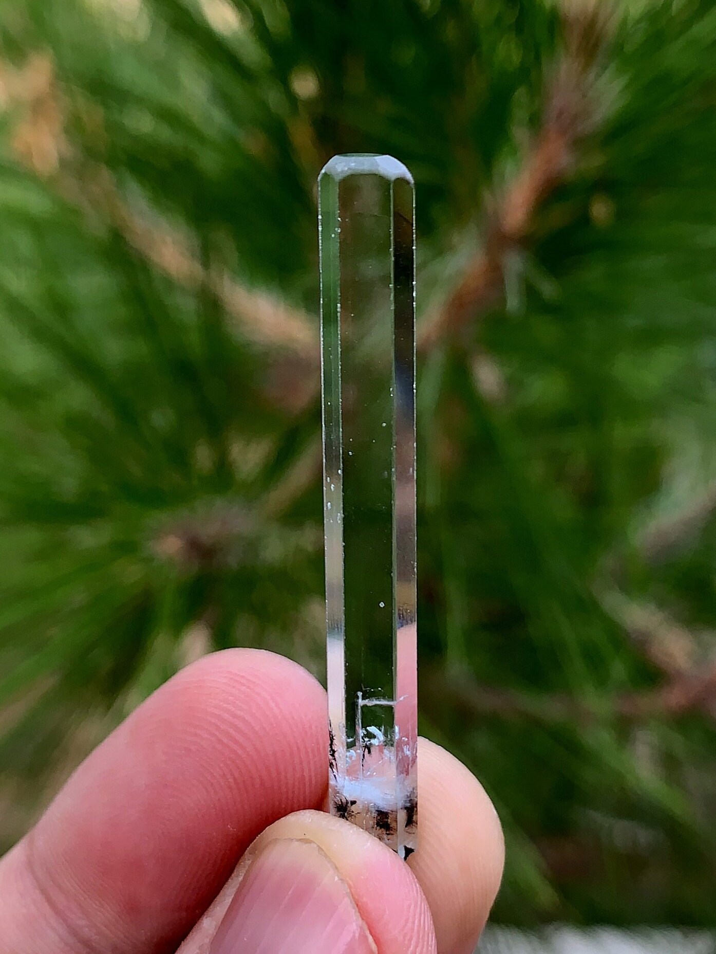 Terminated Transparent Aquamarine Crystal With Rare Columbite Bunch ...