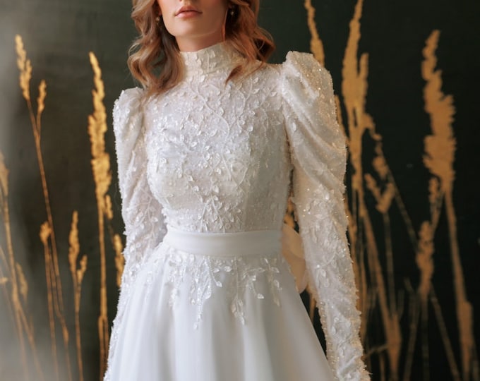 Romantic, Princess Dress, Long Sleeves Gown , Modest LDS, High Neck ...