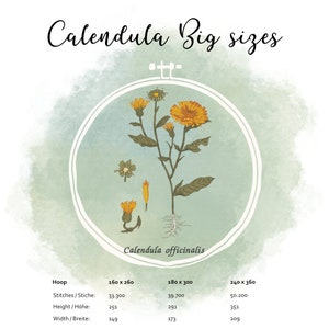 Embroidery File Botanical Drawing Calendula Large Sizes - Etsy