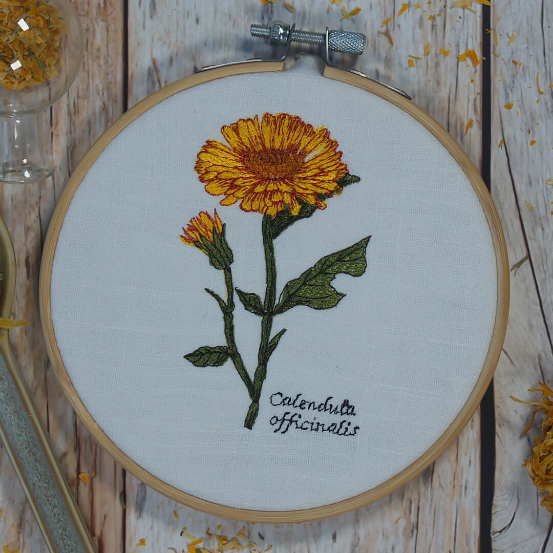 Embroidery File Botanical Drawing Calendula 10x10 Cm - Etsy