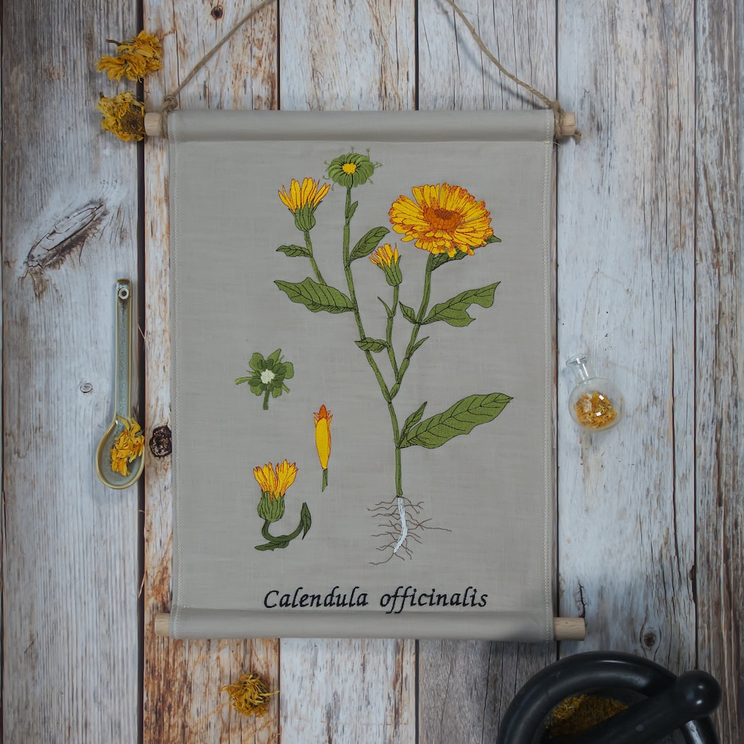 Embroidery File Botanical Drawing Calendula Large Sizes - Etsy