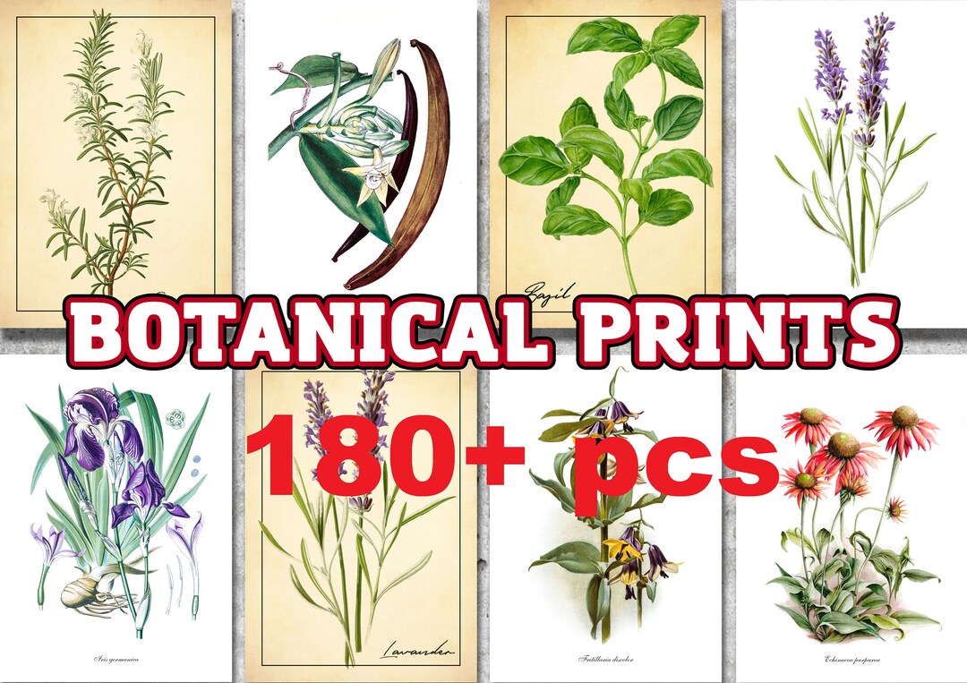 Botanical Print Set of 180 Pcs, Botanical Prints, Botanical Artwork ...