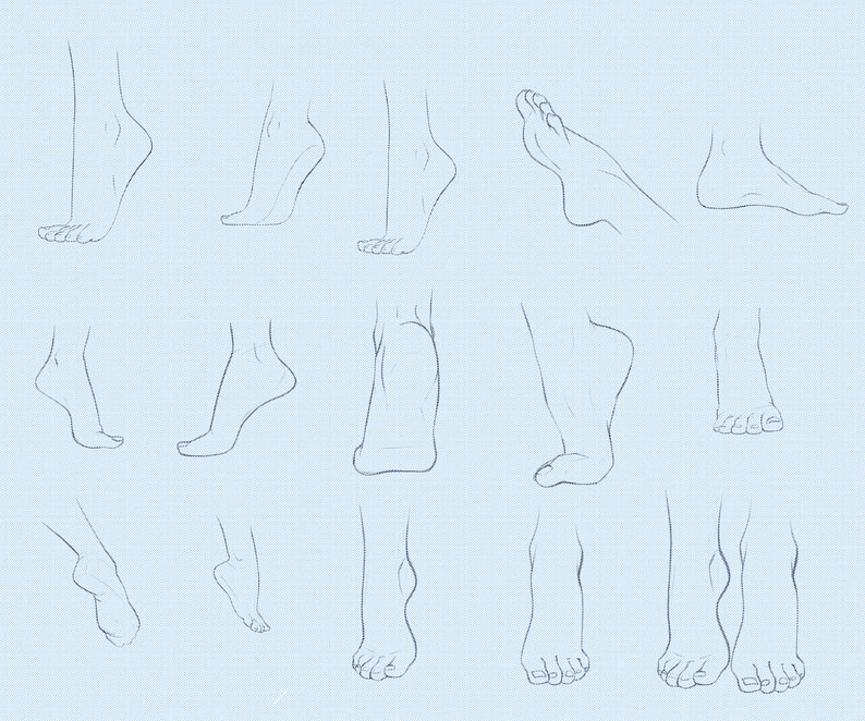 Procreate Feet Stamps Brushes Digital Brushes Feet Guide | Etsy