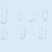 Procreate Feet Stamps Brushes Digital Brushes Feet Guide - Etsy