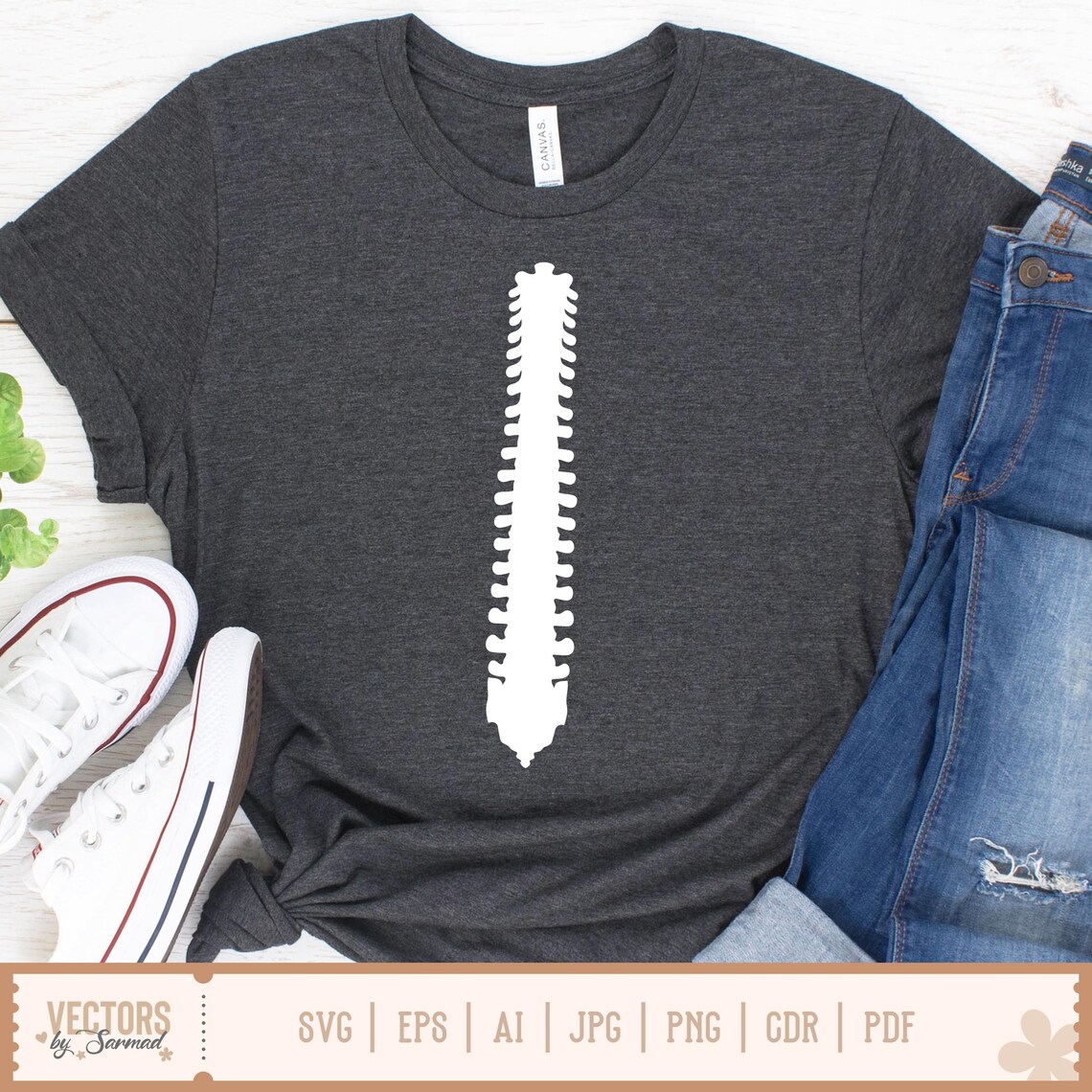 Anatomy Spine SVG, Human Spine Svg, Spine Svg, Skeleton Spine Svg ...