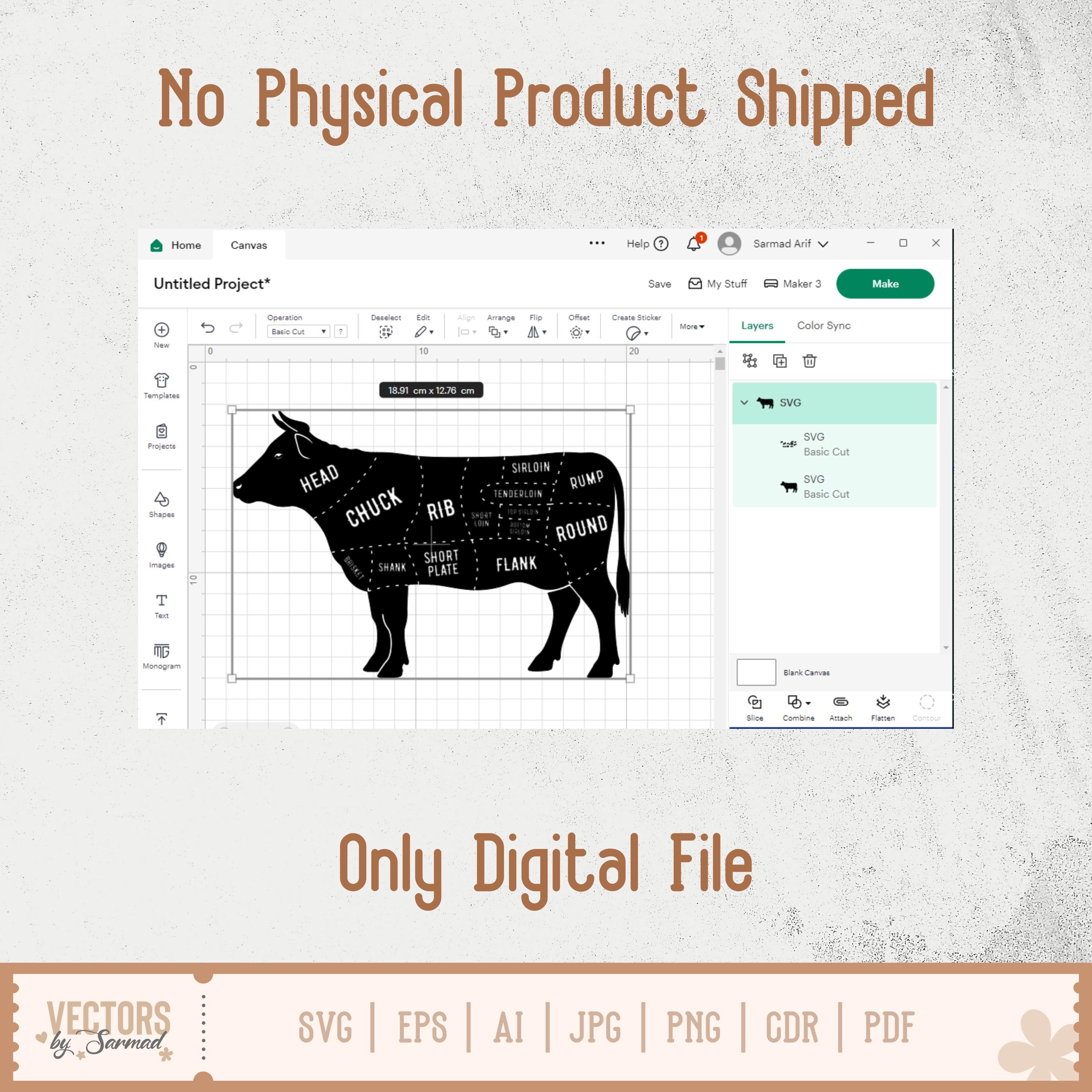 Beef Cuts SVG, Primal Beef SVG, Butcher Cuts Png, Butcher Chart Vector ...