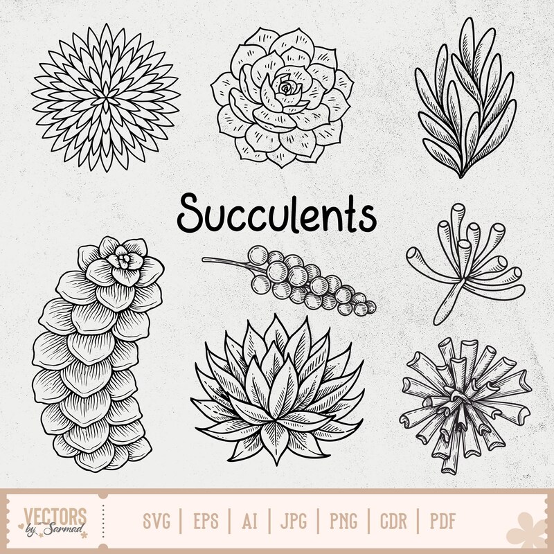 Succulent Svg - Etsy