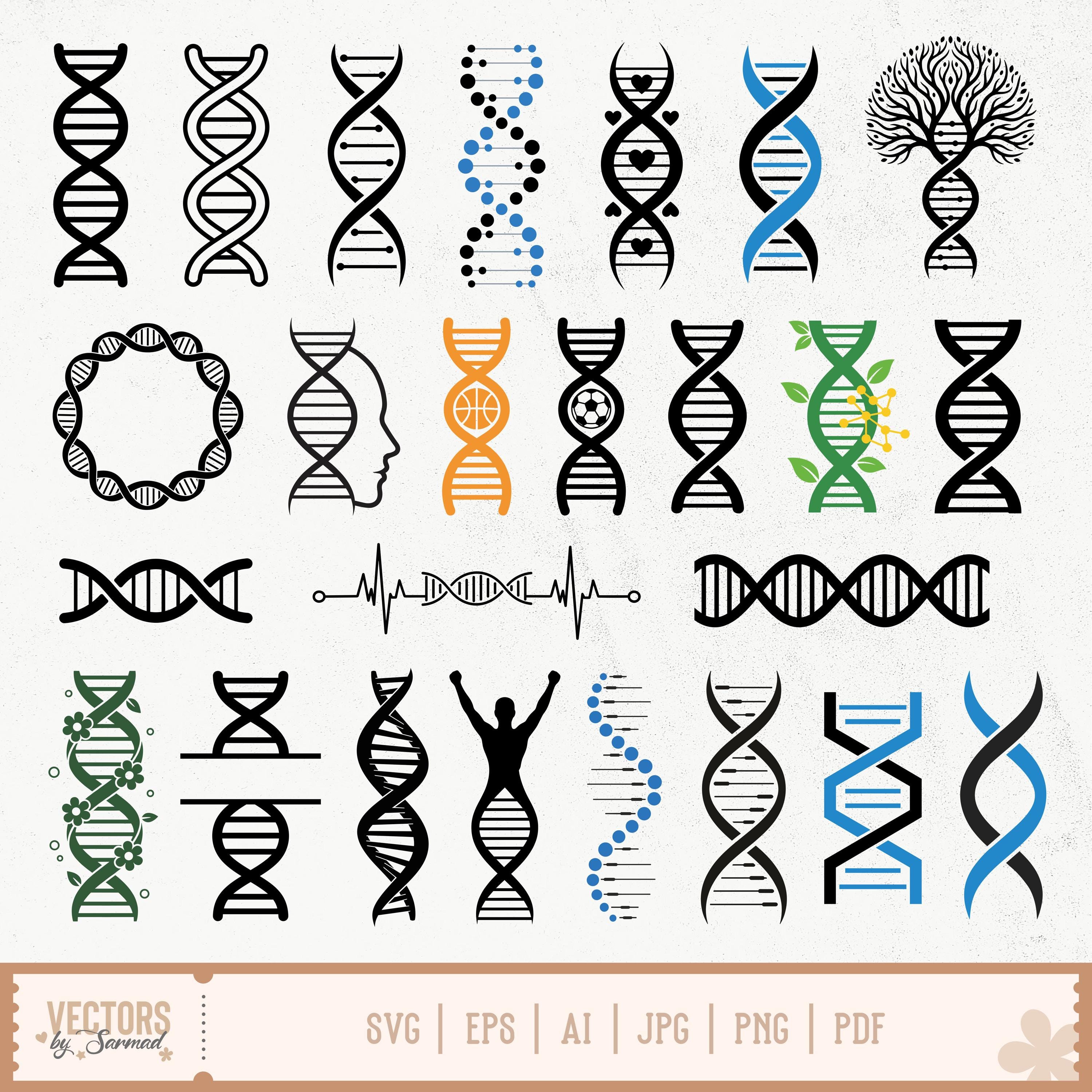 DNA Svg Bundle, DNA Molecules Svg, Flower DNA Svg, Dna Helix Svg, Dna ...