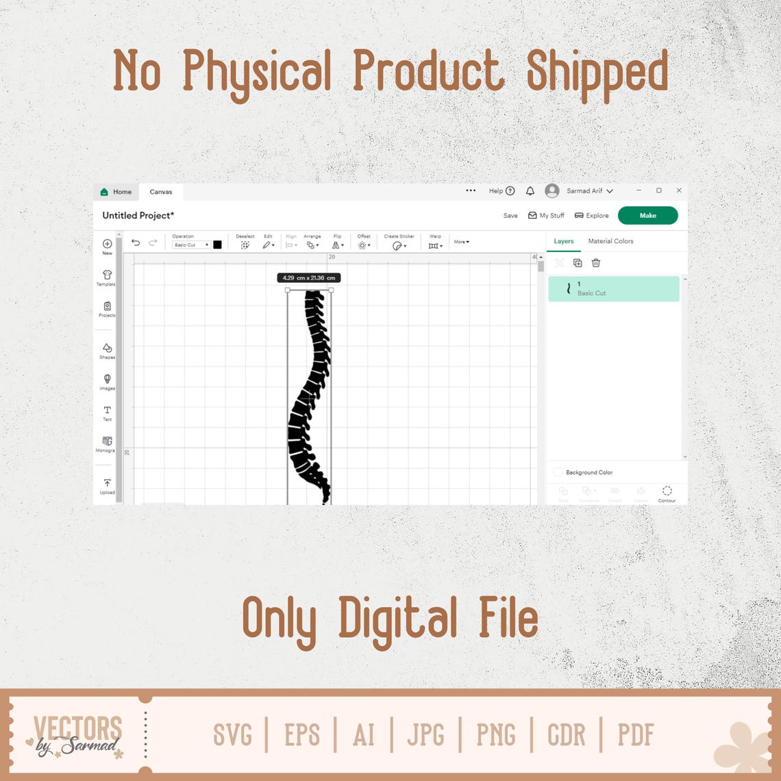 Anatomy Spine SVG, Human Spine Svg, Spine Svg, Skeleton Spine Svg ...