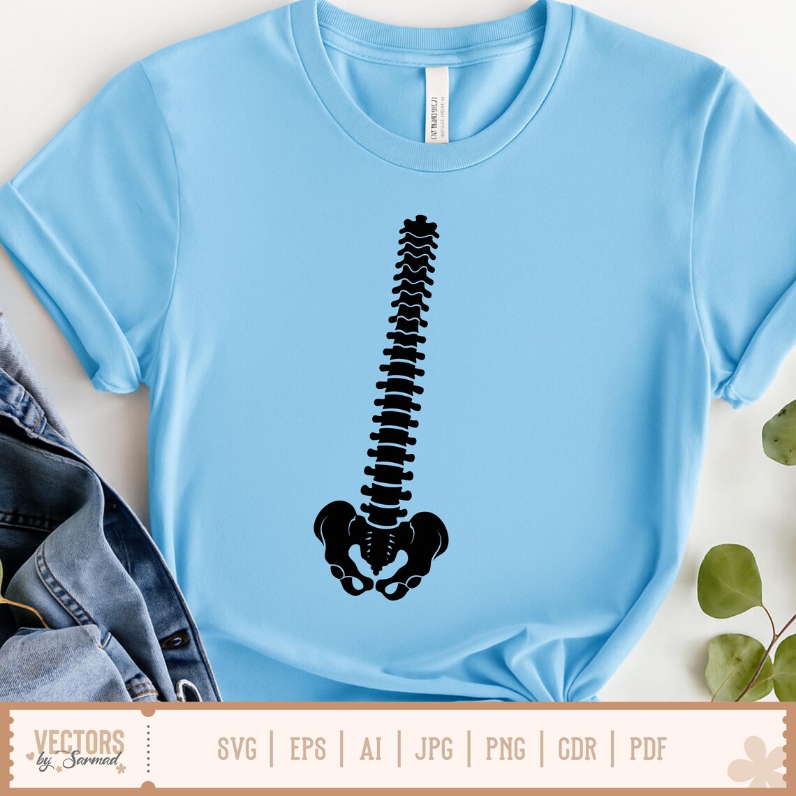 Anatomy Spine SVG, Human Spine Svg, Spine Svg, Skeleton Spine Svg ...
