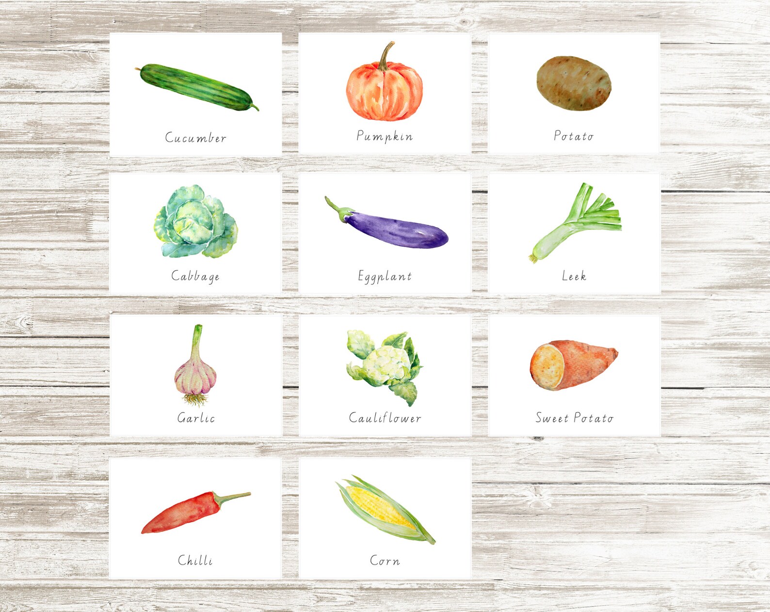 20 Vegetable Flash Cards Printable Digital Download | Etsy