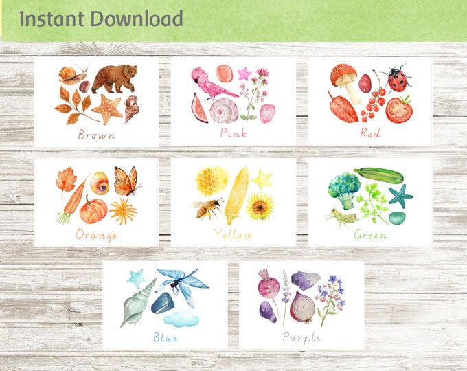 Printable Nature Colour Flash Cards | Homeschool Digital Download - Etsy