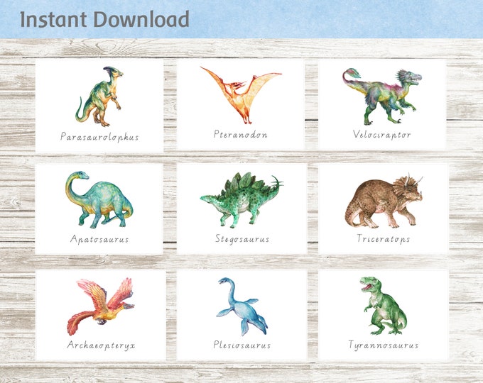 16 Dinosaur Flash Cards Printable Digital Download - Etsy
