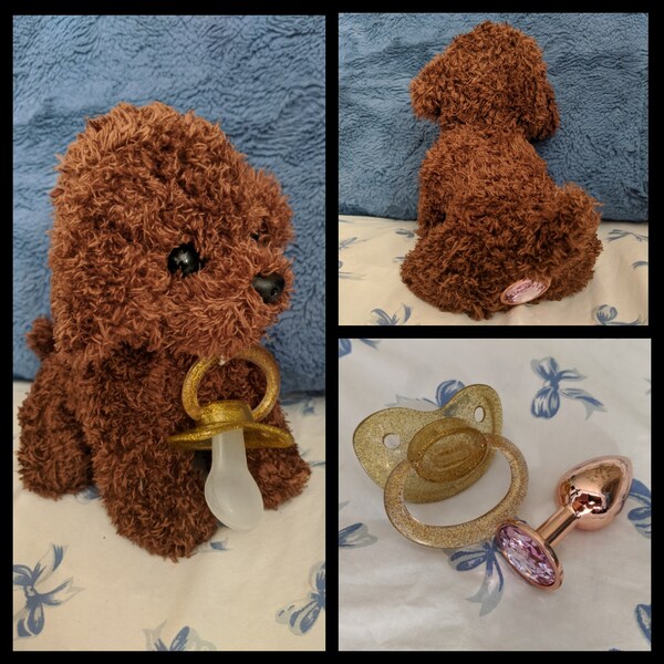 Pacifier Butt Plug - Etsy