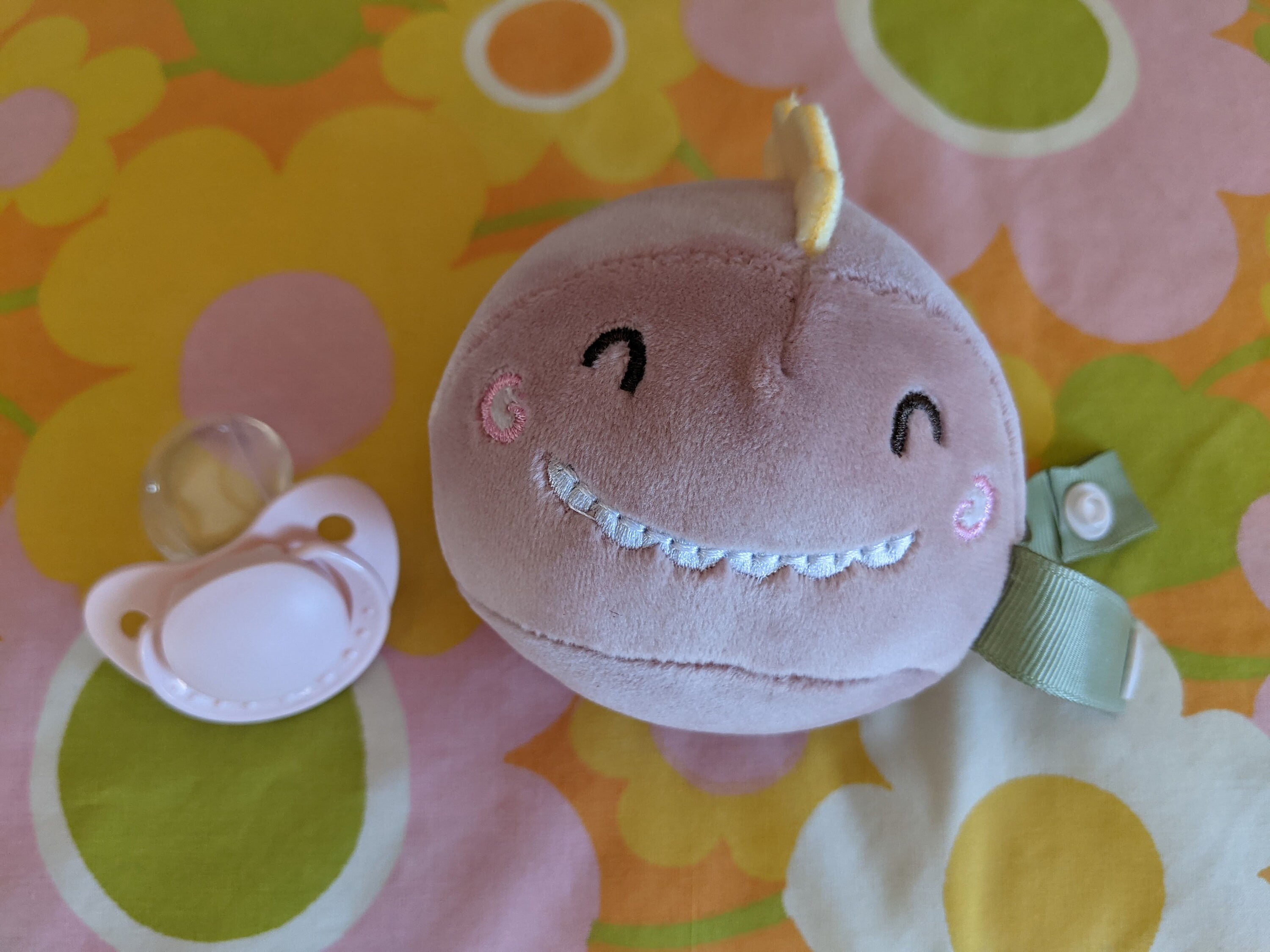 Dino Paci Pet Adult Pacifier Little Space ABDL Pacifier - Etsy