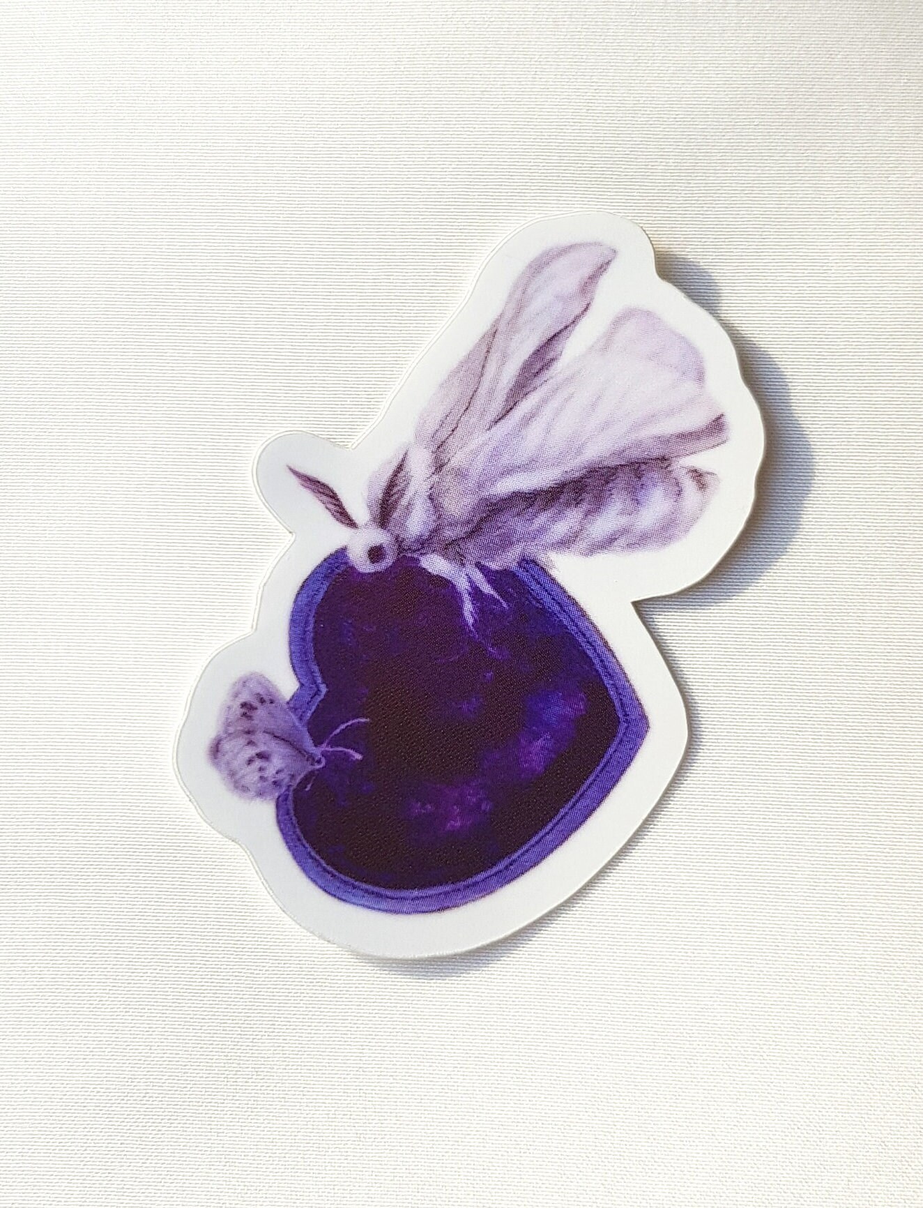 Silk Moths Sticker Set 3pcs Minibeast Collection Matte Finish Fairycore ...
