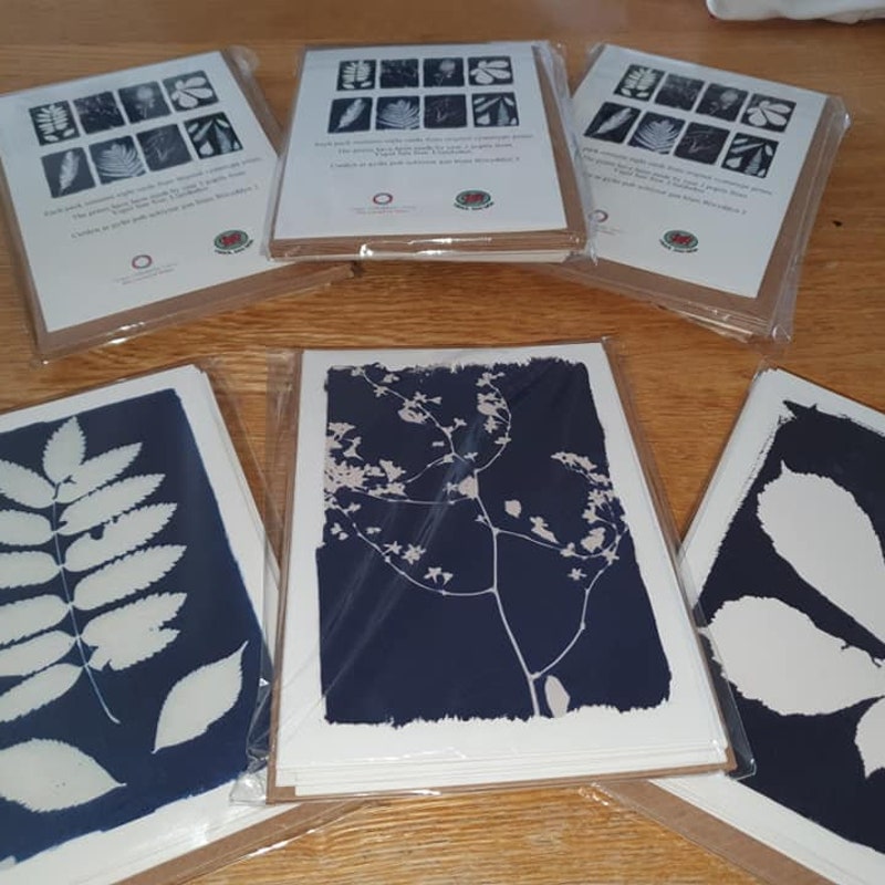 Cyanotype Cards - Etsy UK