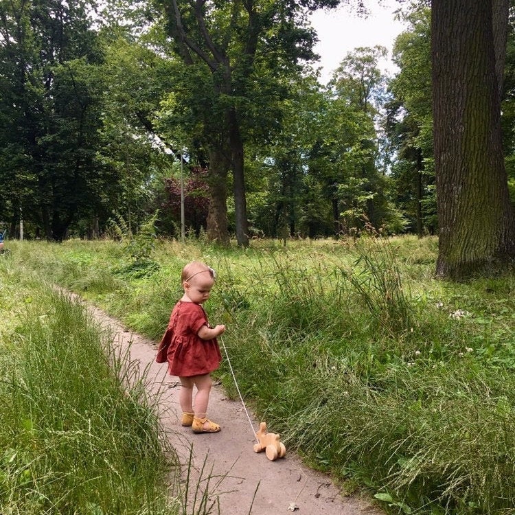 Hopping Bunny Wood Pull Toy Wooden Hare Baby Toy for 1 Year - Etsy