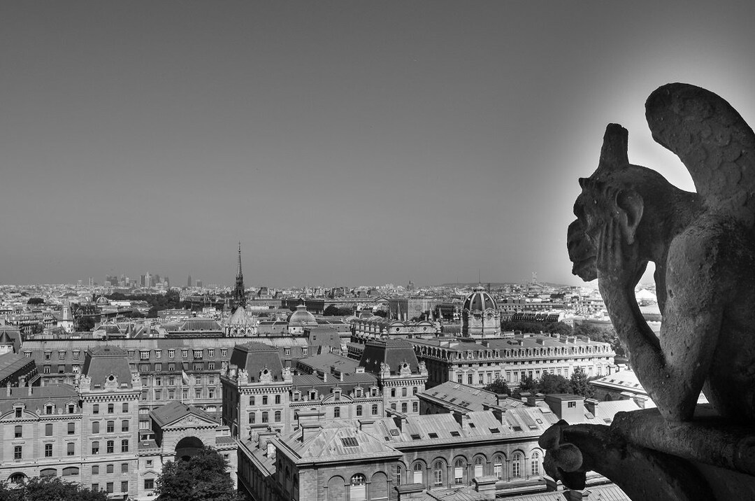 Stryga the Spitting Gargoyle Black White Notre Dame Photo Paris France ...