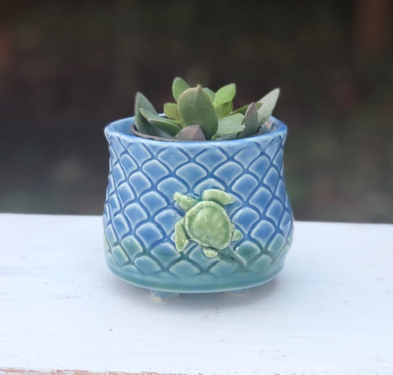 Sea Turtle Succulent Planter Ceramic Planter - Etsy