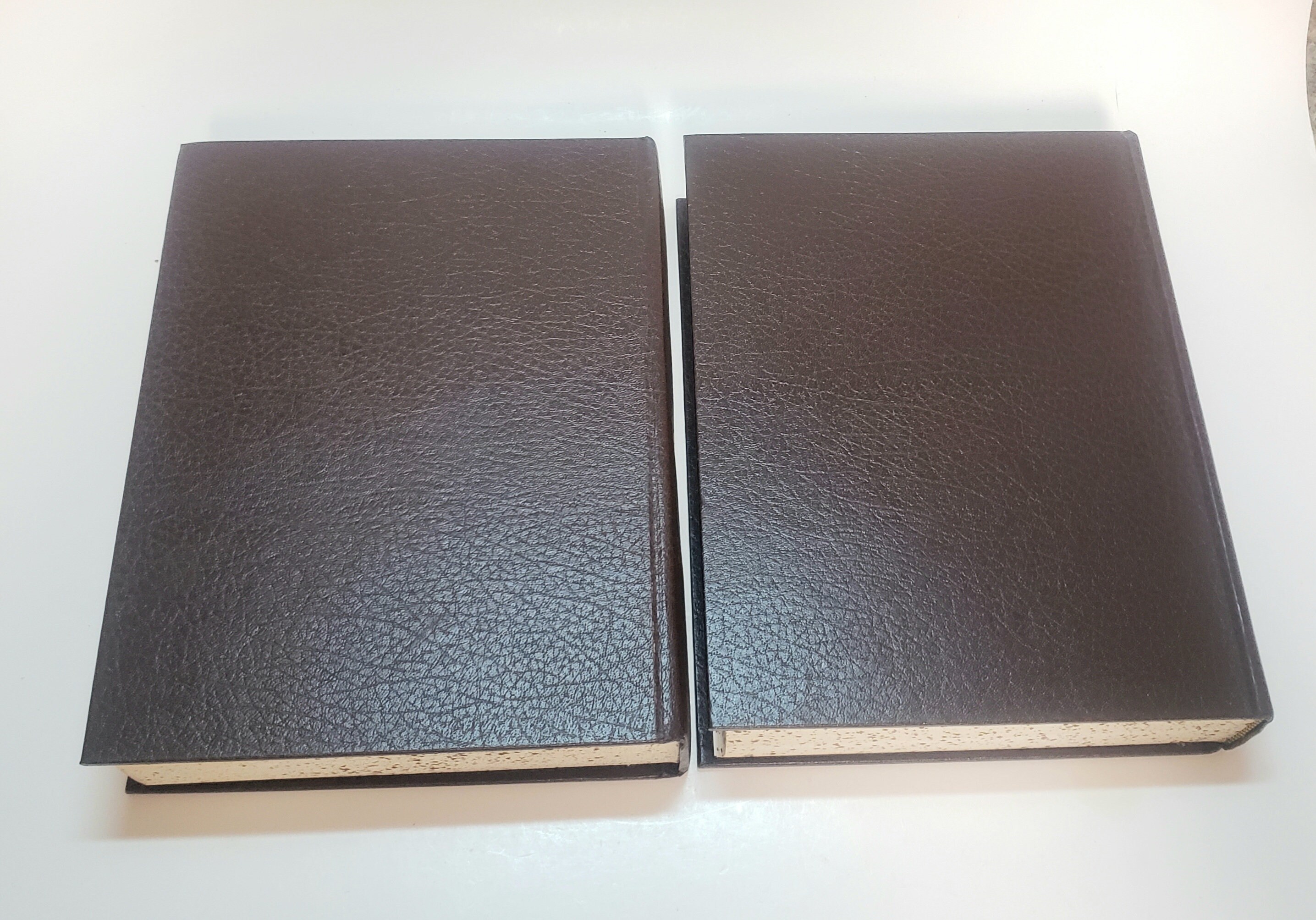 The Webster Reference Dictionary of the English Language Vol 1 & 2 ...