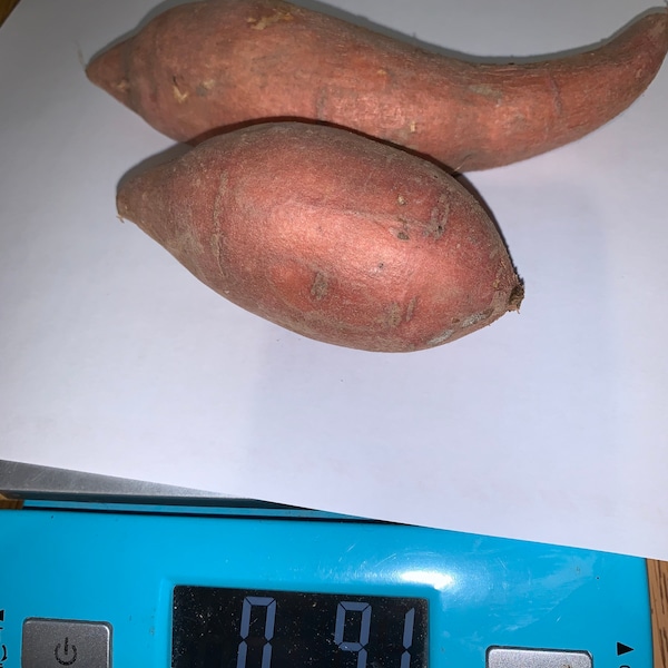 Potato Planter - Etsy