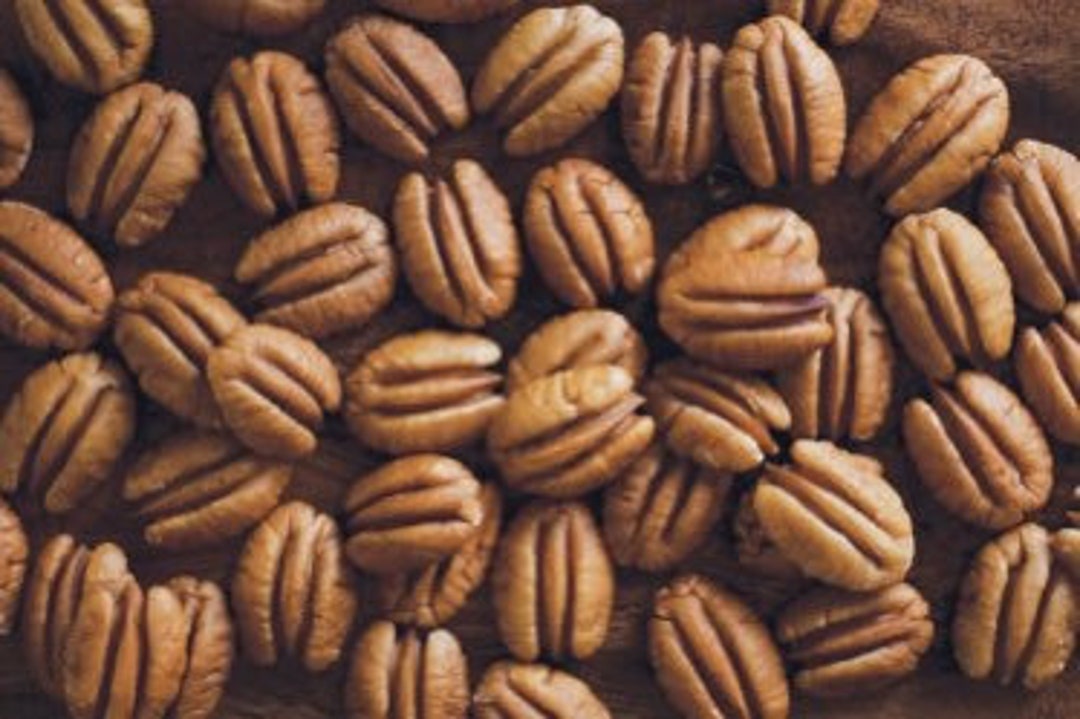 Elliott Pecan Tree 4-5 Ft, Grafted, Over Sized, Bare Root, Not for CA ...