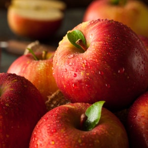 Red Fuji Apple Tree 4-5’ Grafted, Over Sized, Bare Root, Not for CA - Etsy
