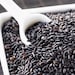 Black Rice 500 Seeds Forbidden Nutty Flavor Easy to Grow Organic Plants ...