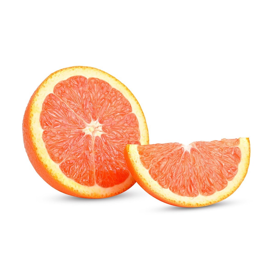 One Cara Cara Navel Orange Tree, 1-2 Feet Tall, Grafted, No Ship Az, Ca ...