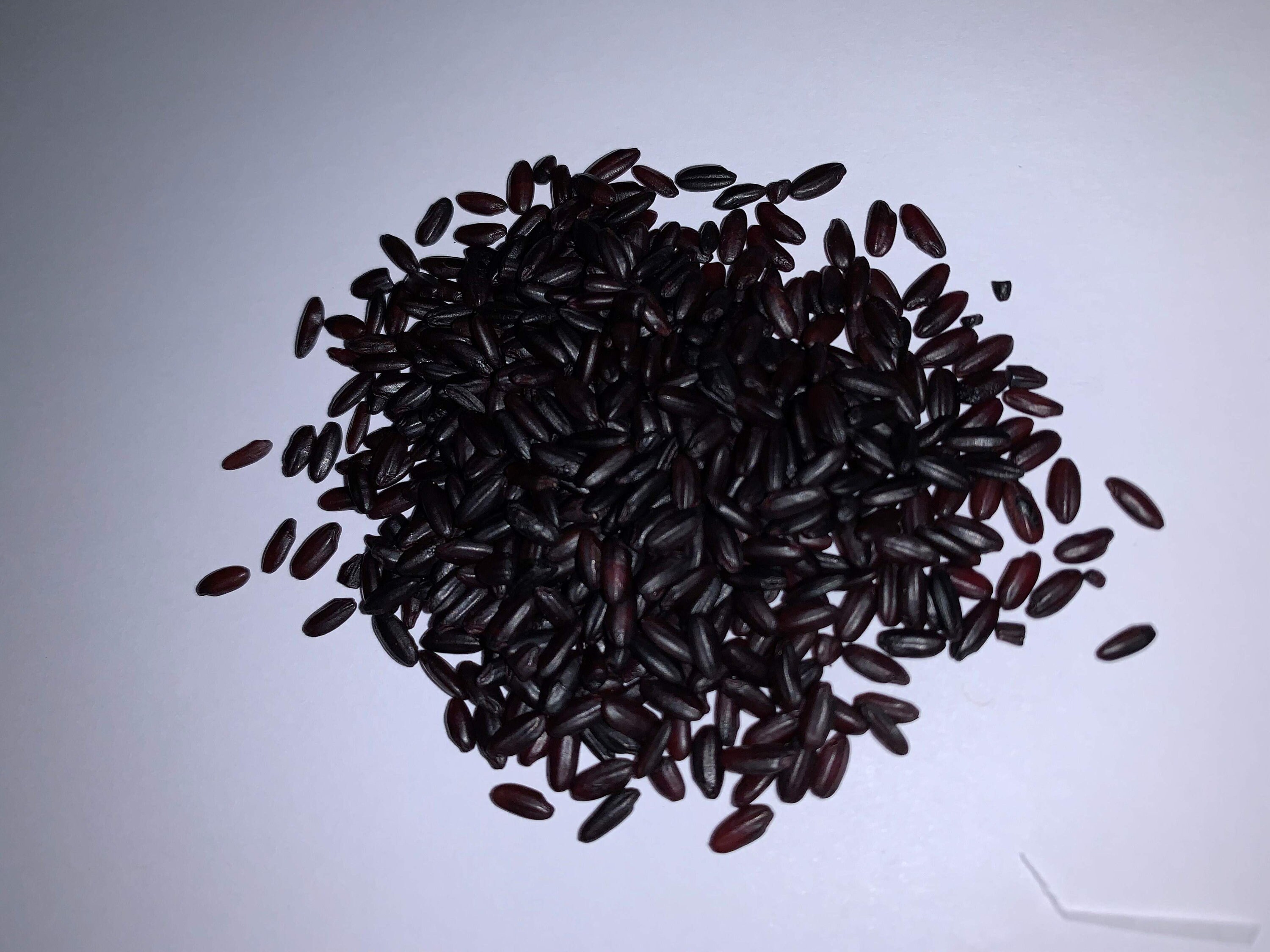 Purple Rice 400 Seeds Forbidden Nutty Flavor Easy to Grow - Etsy