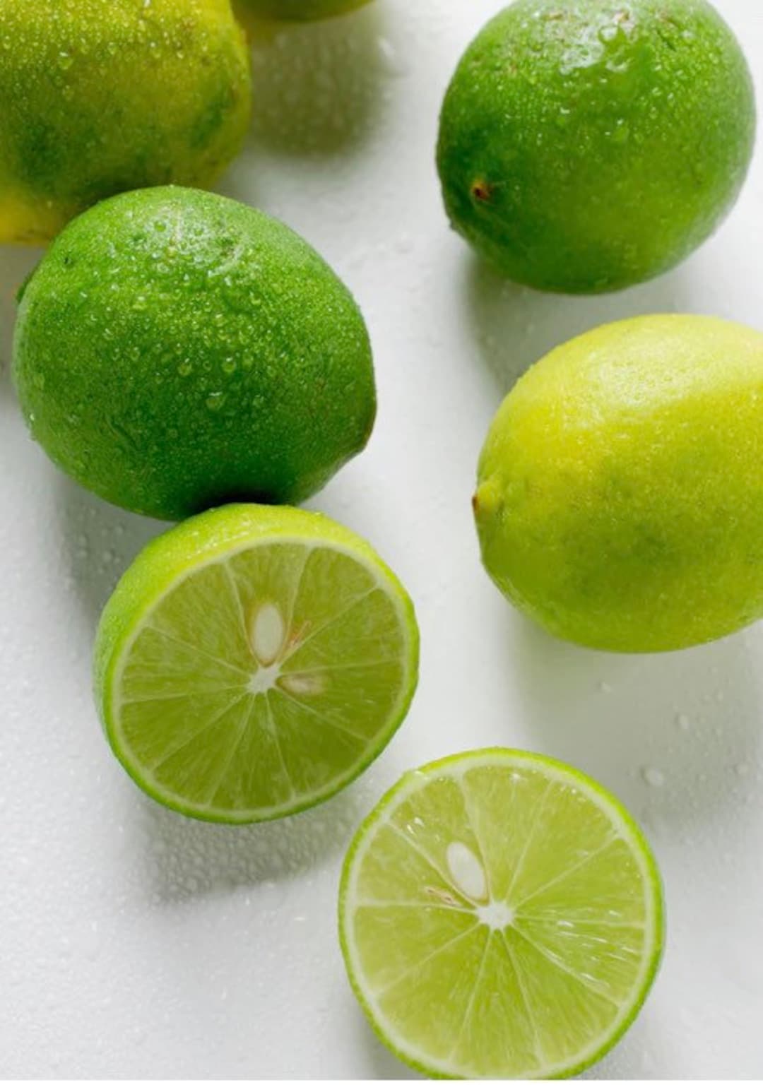 Florida Only! Key Lime (citrus × Aurantiifolia) Grafted Plant 1 Gallon ...