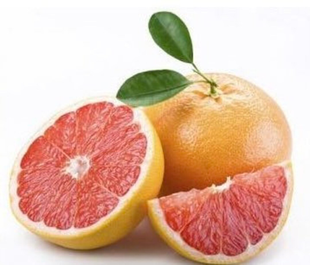 Star Ruby Grapefruit Tree, 1-2 Ft. Tall, Grafted, Cant Ship to Az, NV ...