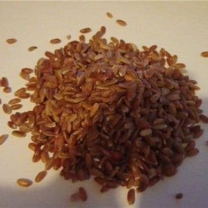 Red Rice 500 Seeds Forbidden Nutty Flavor Easy to Grow Organic Plants ...
