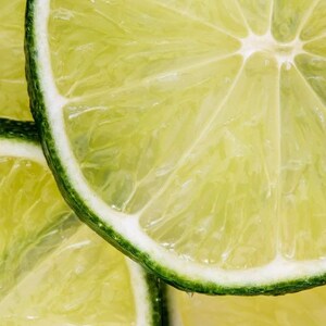 Florida Only! Key Lime (citrus × Aurantiifolia) Grafted Plant 1 Gallon ...